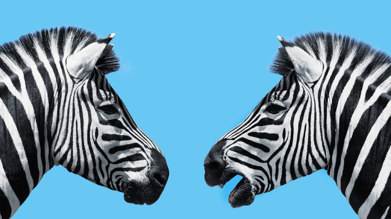 Layer8 become a CIISec Corporate Member - CIISec